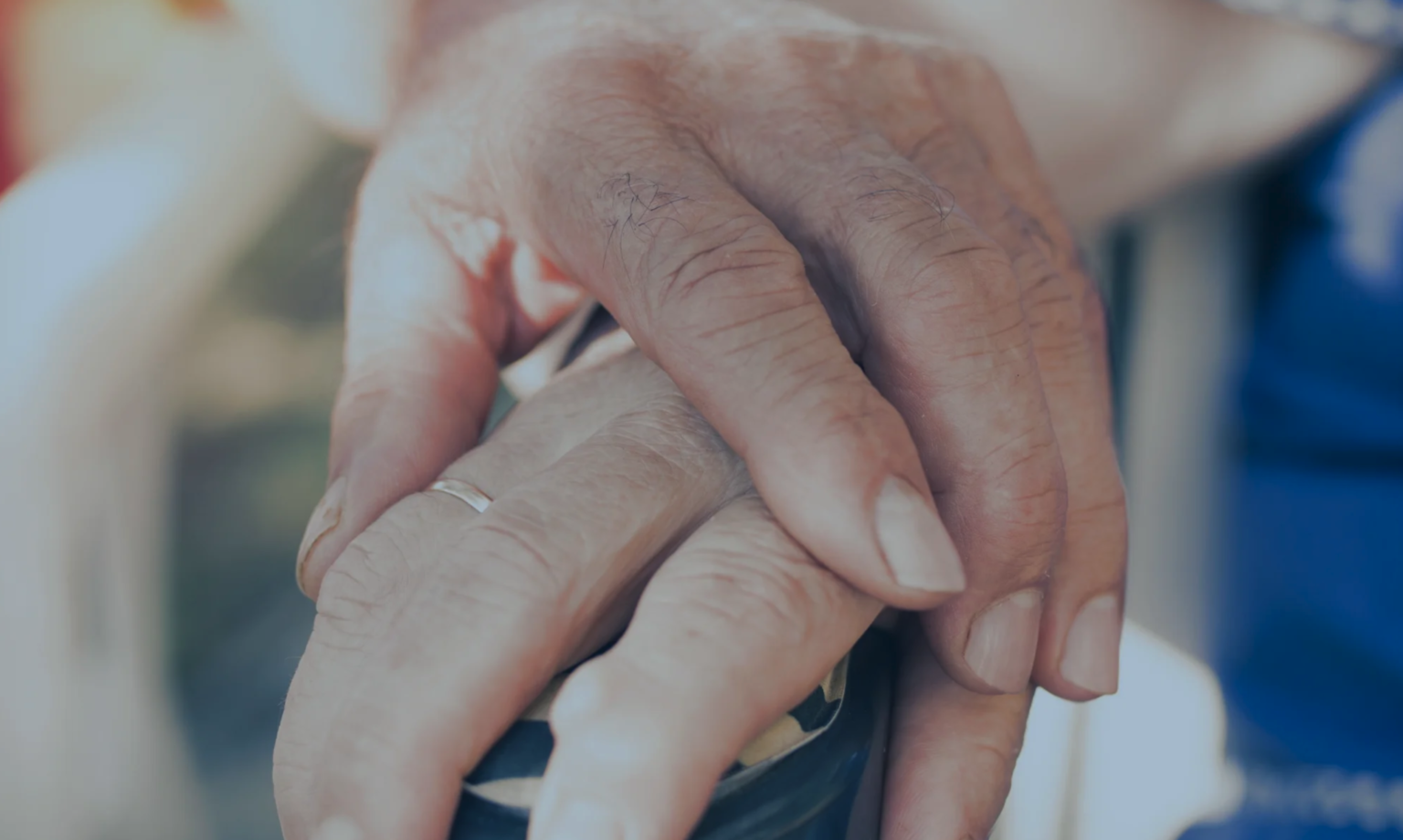 Our Programs | Partners In Care Maryland, Inc.